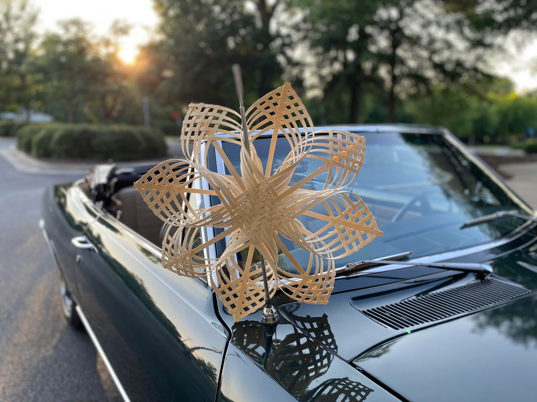 Augusta-Training-Shop